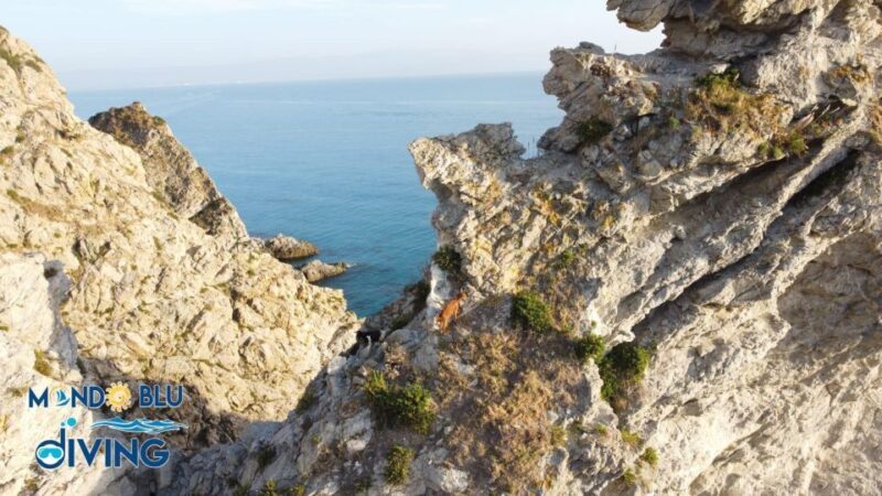 Tour Costa degli Dei: il meglio che puoi trovare. - FAQ