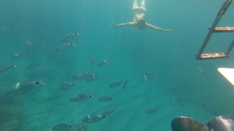 Tour da Avola A Portopalo con sosta e visita a Marzamemi - An In-Depth Look at the Itinerary and Experience  