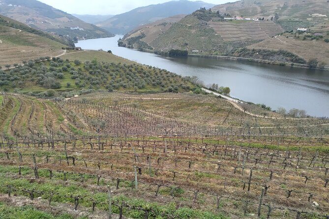 Tour- Douro Wine Region- The Douro Wine Route - In-Depth Review of the Douro Wine Route Tour