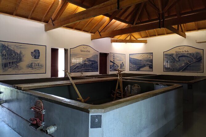 Tour- Douro Wine Region- The Douro Wine Route - Who Is This Tour Best For?