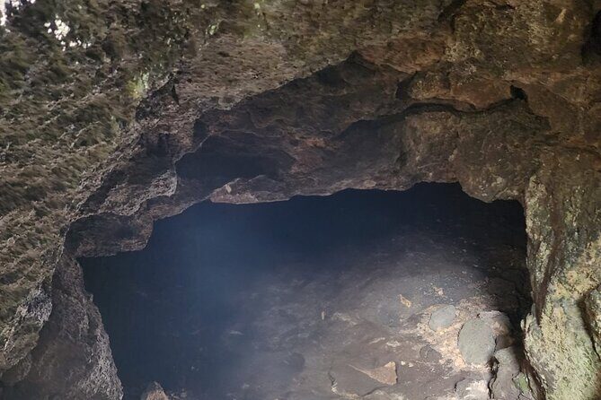 Tour Etna and Wine an experience between nature and aromas with taste. - Who Is This Tour Perfect For?