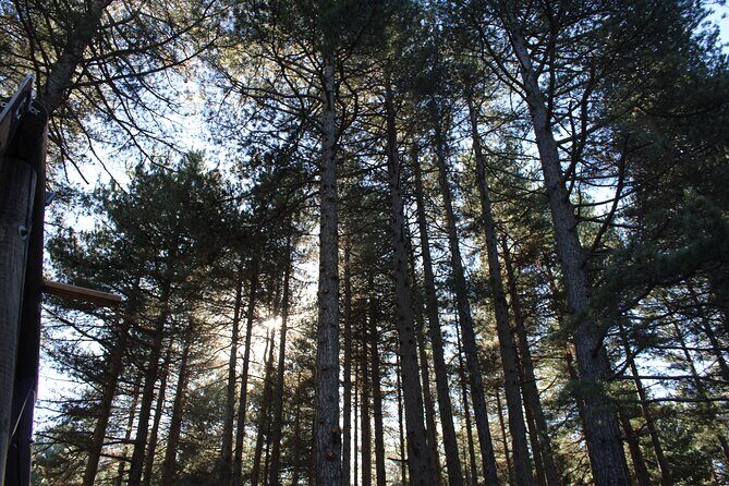 Tour Etna and Wine an experience between nature and aromas with taste. - The Sum Up