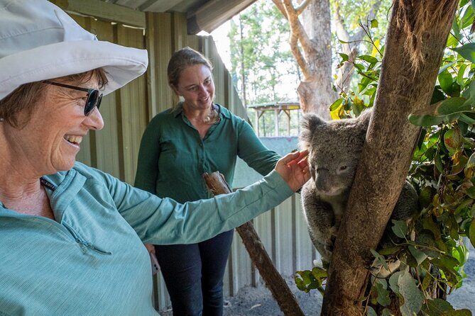 Tour from Eden to Merimbula Wetlands Wildlife and Coastline - Frequently Asked Questions