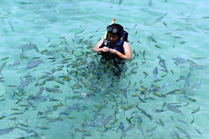 Tour Full Day Guided Huatulco Bays + Pickup + Refreshments + Gift !! - Exploring the Full-Day Guided Huatulco Bays Tour