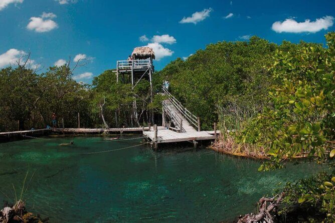 Tour Holbox Plus (Isla Pasion & Cenote) Departures from Cancun - Authentic Experiences and Practical Tips