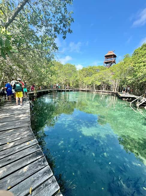 Tour in Italian in Holbox - FAQ