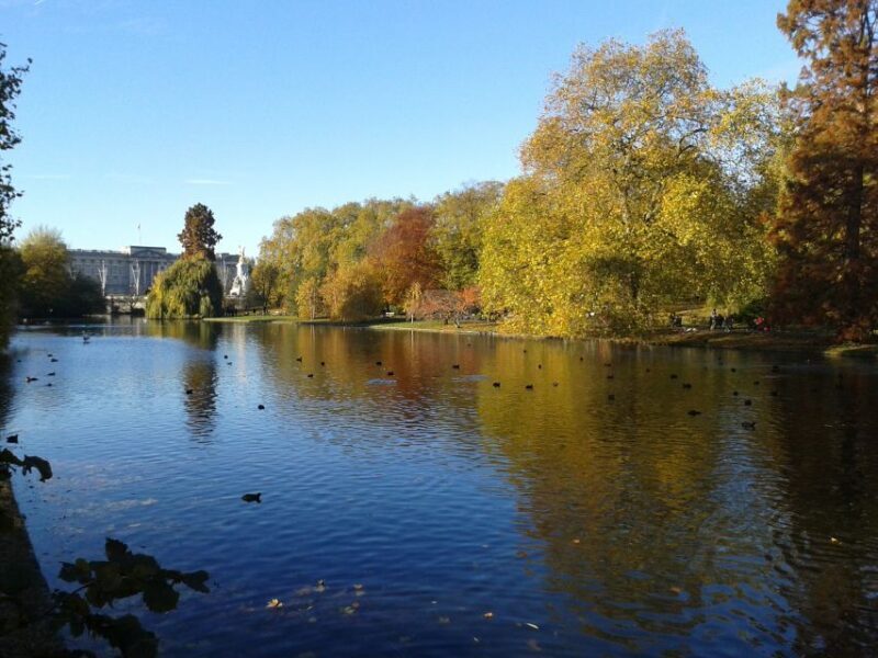 Tour in Italian: Londra in un Giorno - A Deep Dive into the Tour Experience