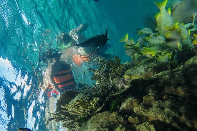 Tour in the Contoy Island Reserve Plus Visit to Isla Mujeres