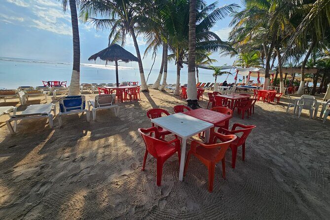 Tour in the Hacienda del Tequila - What’s Included and What’s Not