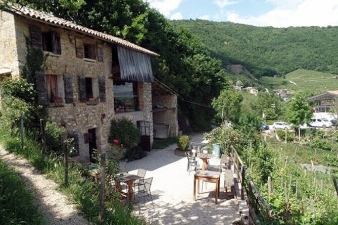 Tour in the Prosecco Hills Tour from Padua - What Makes This Tour Special?