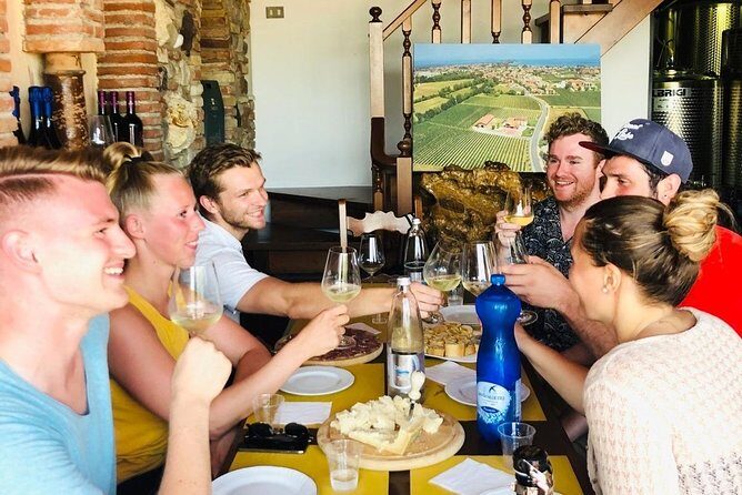 Tour in the Winery and tasting - The Sum Up