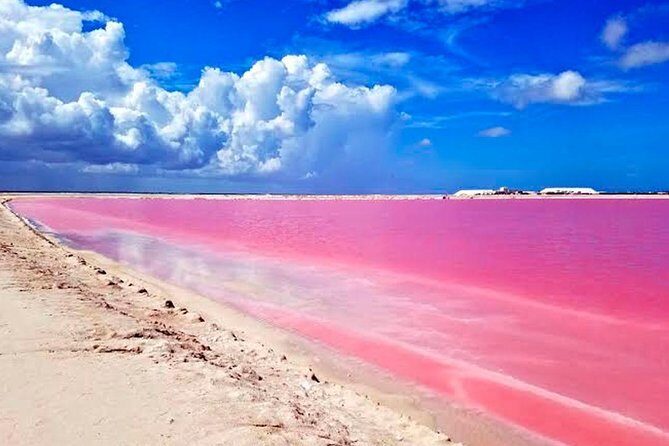 Tour Las Coloradas & Rio Lagartos only from Tulum - FAQ