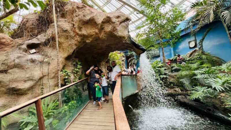 TOUR "Museo del Desierto" + Traslados + Tickets incluidos - Key Points