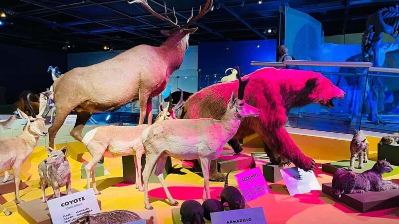 TOUR "Museo del Desierto" + Traslados + Tickets incluidos - FAQ