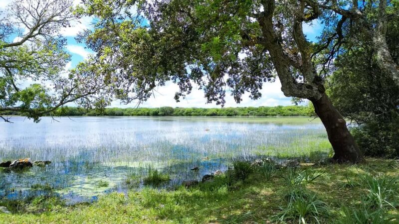 Tour Nature & Wildlife from Cagliari - Key Points  
