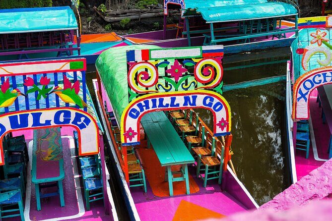 Tour of Coyoacan Xochimilco and Frida Kahlo Museum - A Complete Guide to the Coyoacan, Xochimilco, and Frida Kahlo Museum Tour