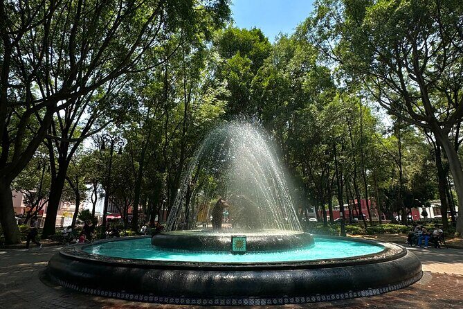 Tour of Coyoacan Xochimilco and Frida Kahlo Museum - Practical Details and Tips