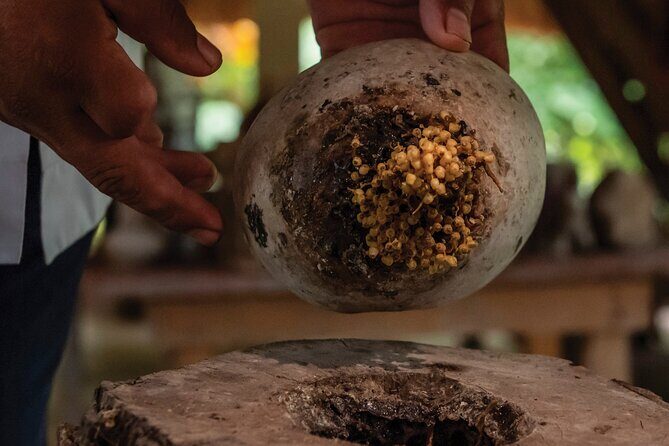 Tour of Haciendas del Camino Real de Campeche - Why You Should Consider This Tour