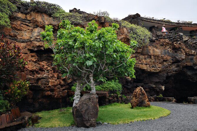 Tour of Jameos del Agua, Cueva de los Verdes and Viewpoint from the cliffs - Frequently Asked Questions