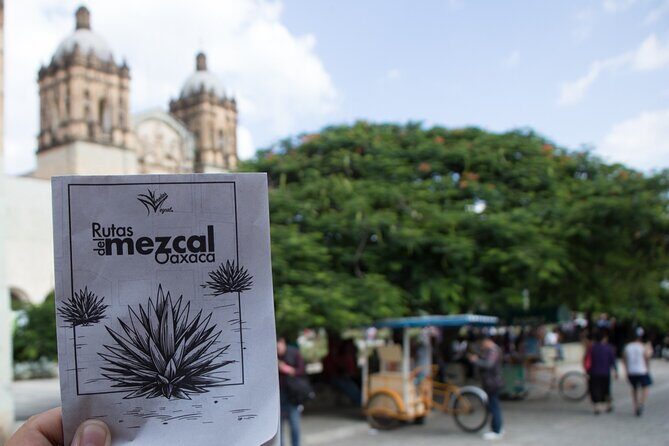 Tour of Mezcalerias in the City - Key Points