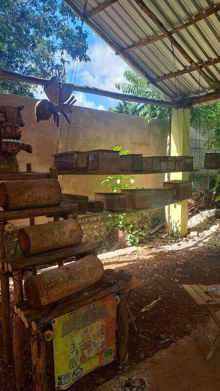 TOUR OF THE 4 BACABES : EXPERIENCE WITH MELIPONA BEES - FAQ