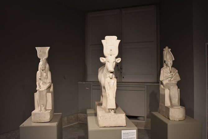 Tour of the Archaeological Museum of Naples - The Guided Tour Experience
