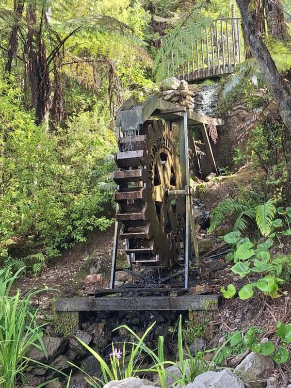 Tour of the Bay, Te Puna Sculpture Park and Historic Village - A Close Look at the Itinerary and Highlights