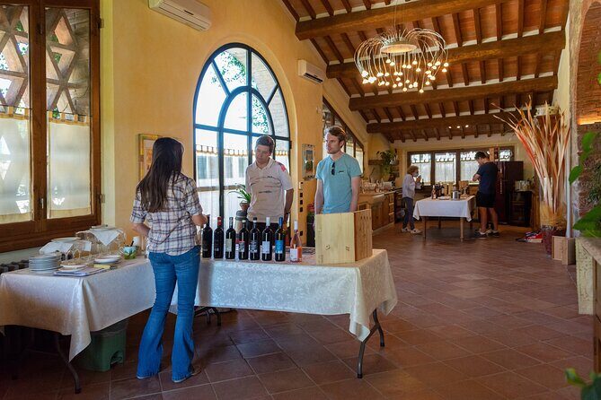 Tour of the cellar and tasting of 6 wines - Exploring the Cantalici Winery Tour in Lucca: A Genuine Taste of Tuscany