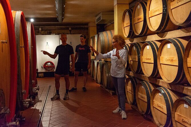 Tour of the cellar and tasting of 6 wines - Detailed Review of the Cantalici Winery Tour