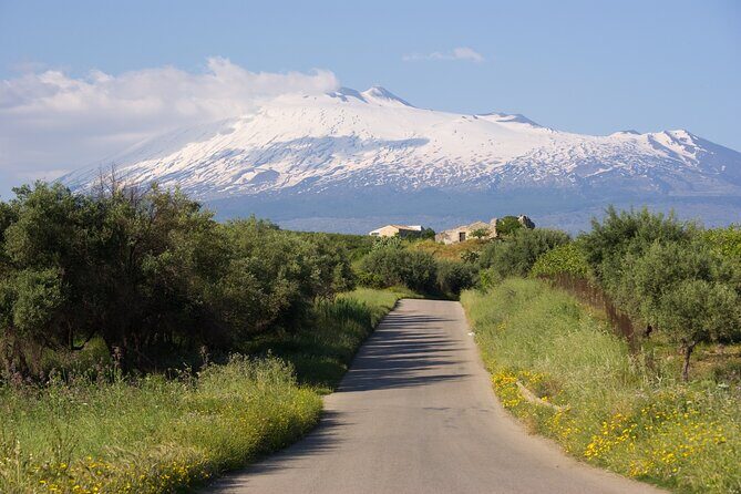 Tour of the Etna cellars, typical lunch and wine tasting - A Closer Look at the Itinerary: What’s Included and Why It Matters