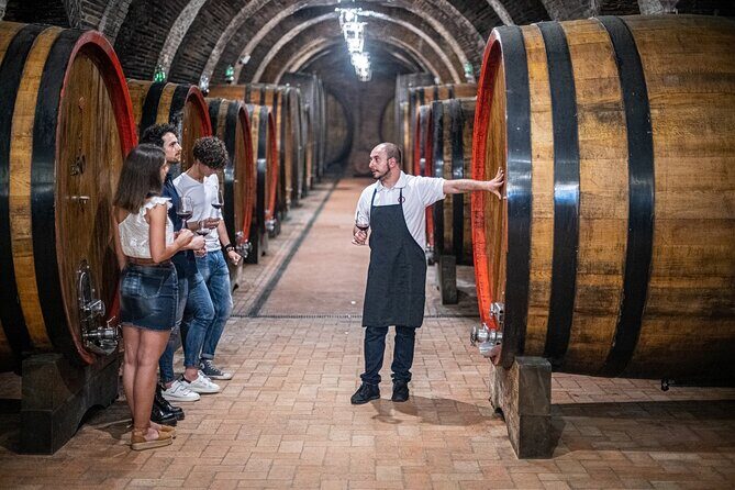 Tour of the historical cellars in Montepulciano - The Value of this Experience