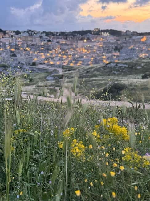 Tour of the Murgia Materana Park and the Sassi at sunset - Who Will Enjoy This Tour?