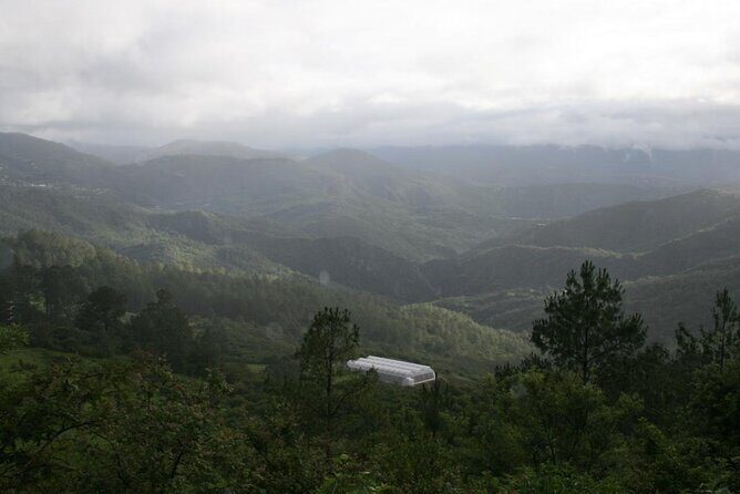Tour of the Sierra Juárez, Ixtlán, Guelatao and Capulálpam - Final Thoughts