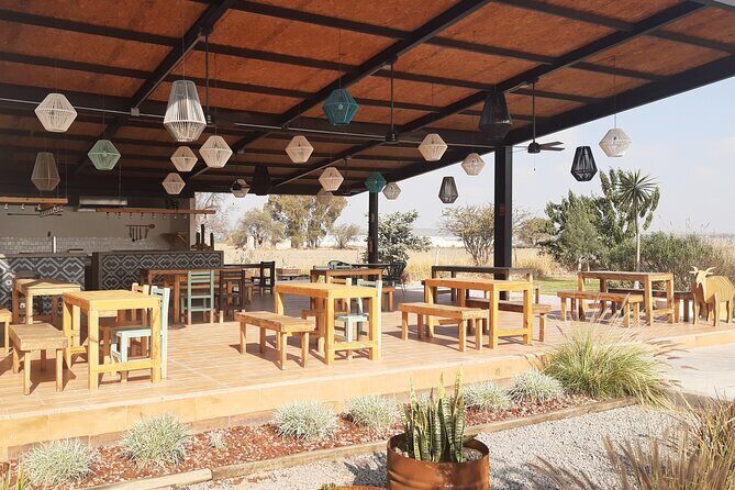 Tour of the Tradition and History of Cheese and Wine in Querétaro - The Sum Up