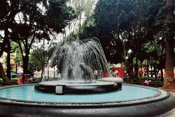 Tour of Xochimilco and The World of Frida Kahlo - Analyzing the Value for Money