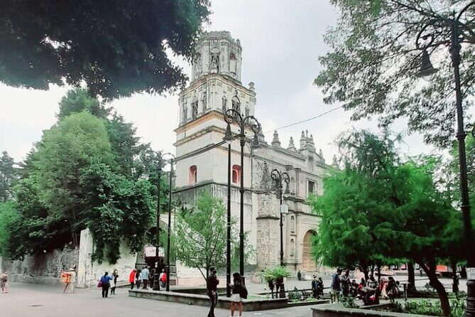 Tour of Xochimilco and The World of Frida Kahlo - Who Would Love This Tour?