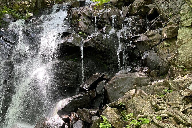 Tour Off Montreal - Who Will Love This Tour?