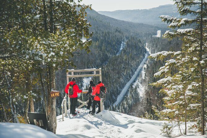 Tour Off Montreal - FAQ