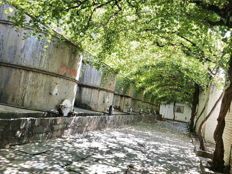 Tour "Parras de la Fuente" + Guía + Traslados + Tickets - FAQs