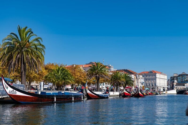 Tour Porto-Aveiro/Costa Nova | half day in portuguese Venice - Final Thoughts: Who Will Love This Tour?