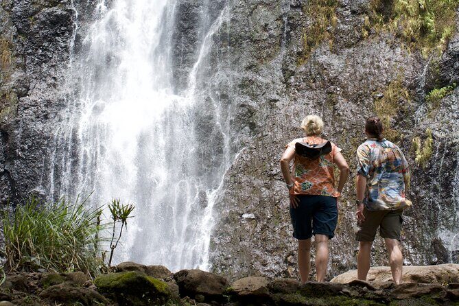 Tour Tahiti in Private - Who Should Book This Tour?