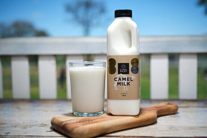 Tour, Taste & Camel Encounter - Practical Tips for Visitors