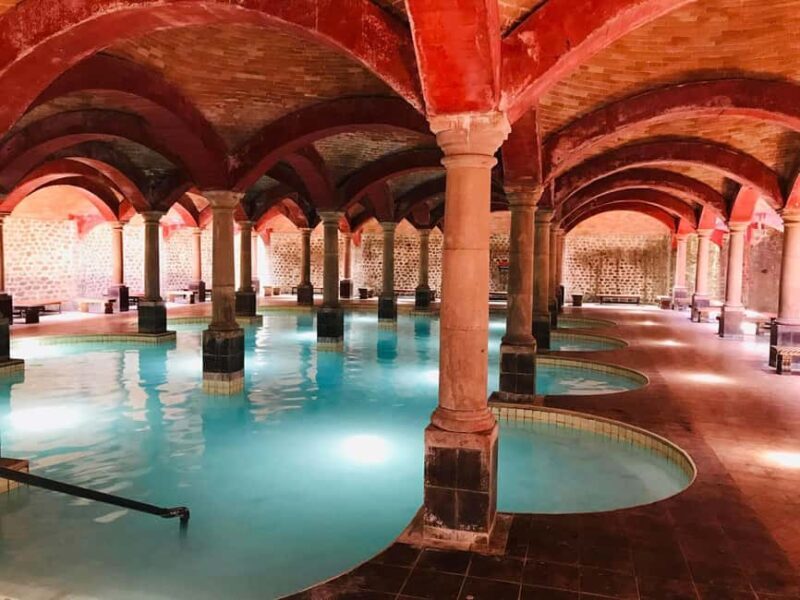 Tour "Termas de San Joaquín" + Transfers + Tickets - Authentic Insights from Reviews
