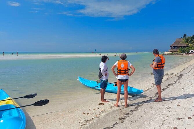 Tour the Mangroves in Kayak by Isla Holbox - The Sum Up