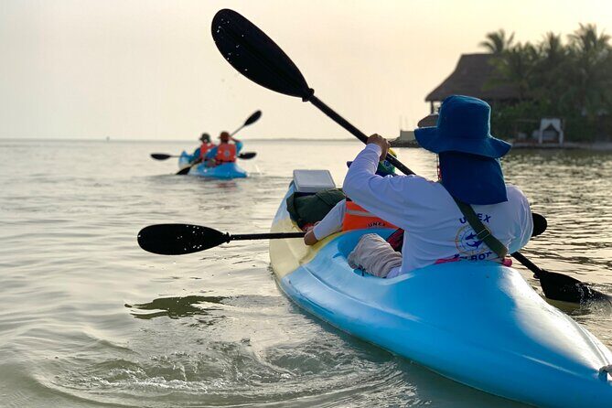 Tour the Mangroves in Kayak by Isla Holbox - FAQ