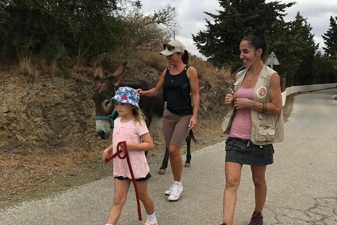 Tour the Sanctuary and Walk with the Donkeys and Share their Love - Support and Impact