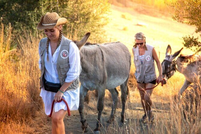 Tour the Sanctuary and Walk with the Donkeys and Share their Love - Practical Details
