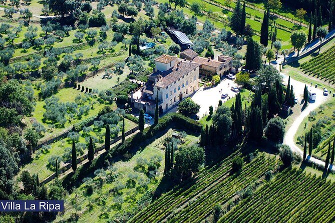 Tour through the vineyards and wine and olive oil tasting in Tuscany - A Genuine Taste of Tuscany: Wine and Olive Oil at Villa La Ripa