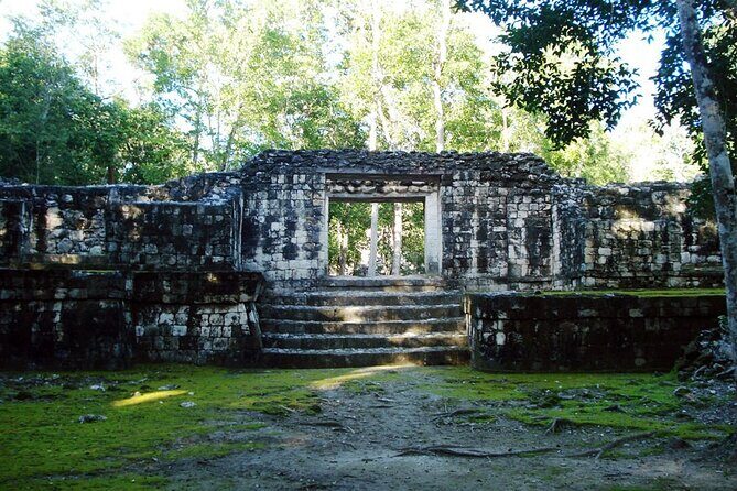 Tour to Calakmul and Balamkú. From Campeche - What You Can Expect During the Day