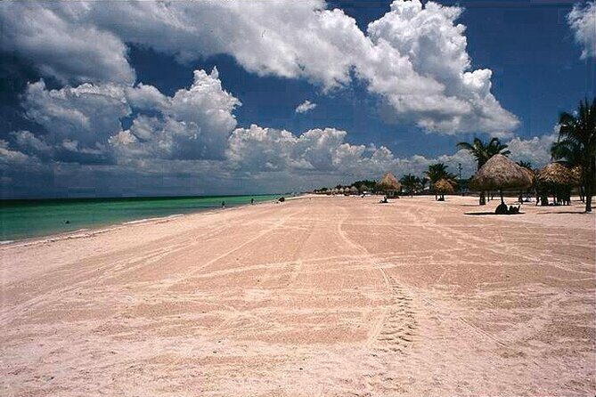 Tour to Celestun and see the flamingos - The Itinerary in Detail